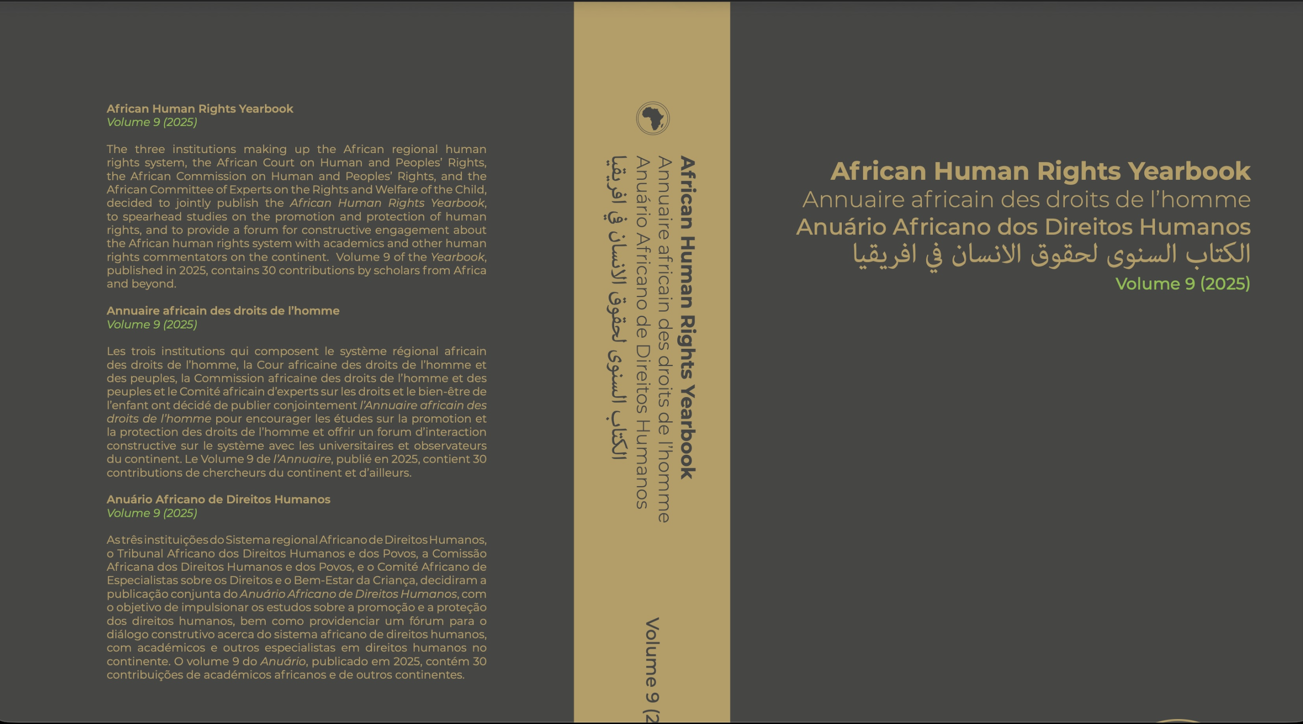 AFRICAN HUMAN RIGHTS YEARBOOK - VOLUME 9 (2025) - African Court on ...